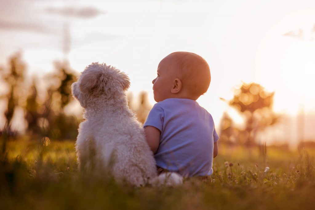 UMGANGSREGELN KIND & HUND – Dogs & Kids